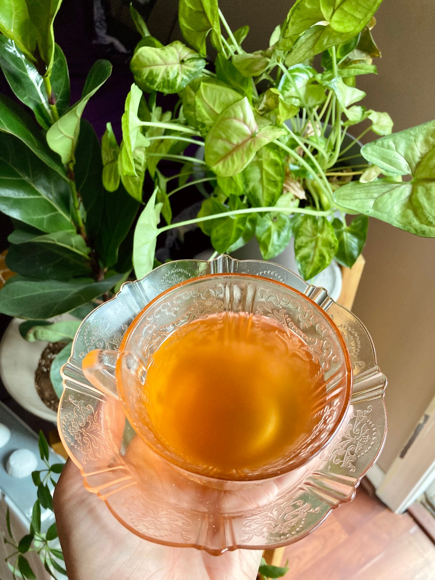 Teajoydailydevotionals